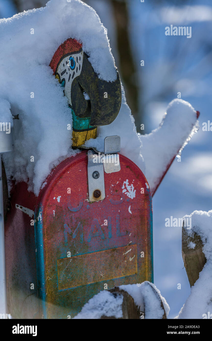 Snow-covered mailbox with parrot Stock Photo - Alamy