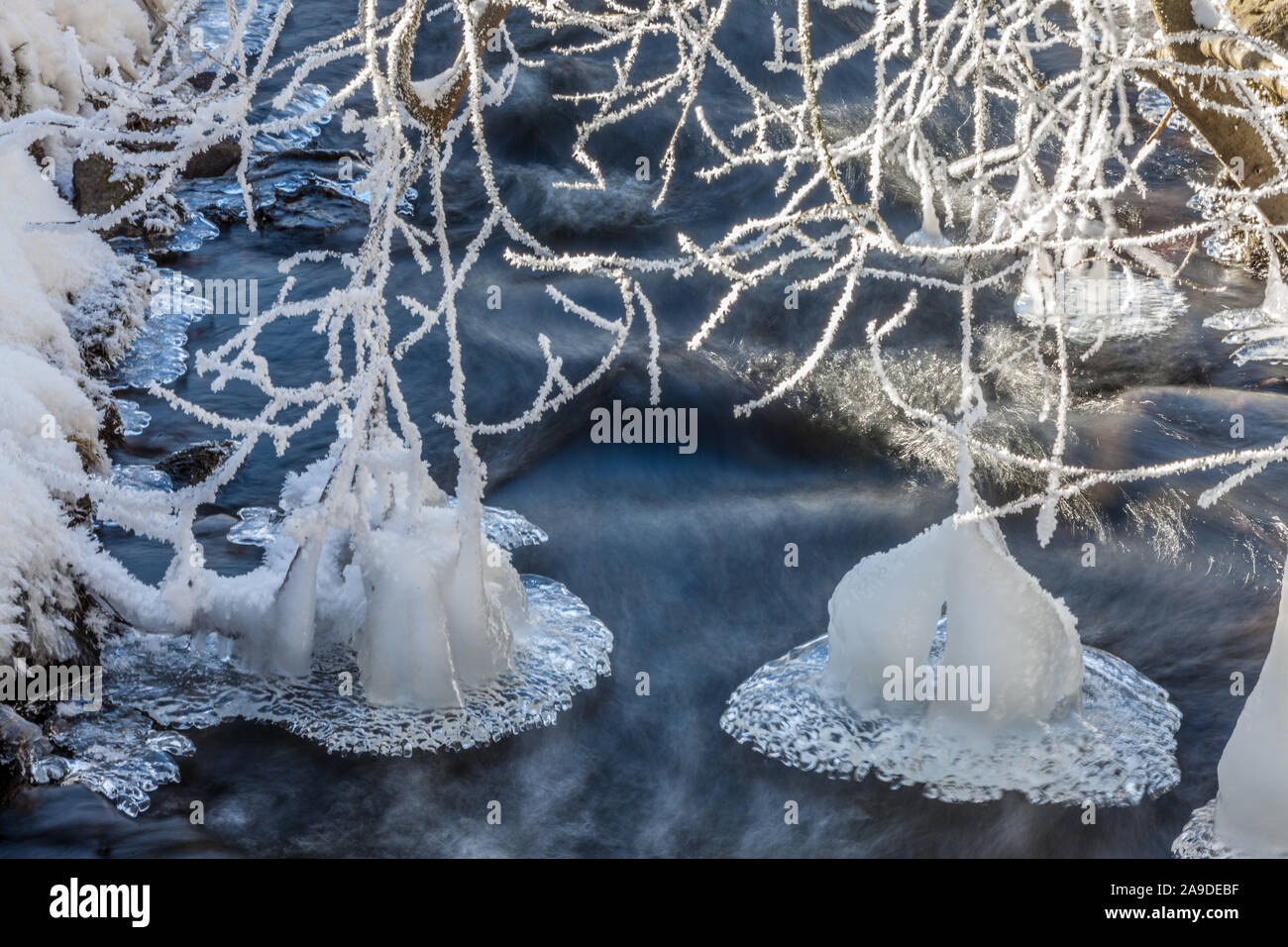 Figures made of ice in water Stock Photo - Alamy