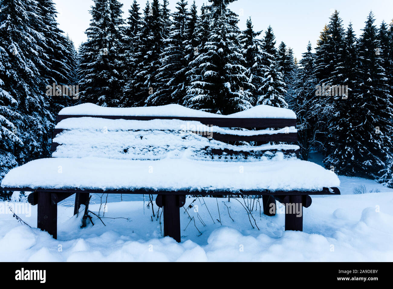 snow-covered bench and fir trees in winter Stock Photo - Alamy