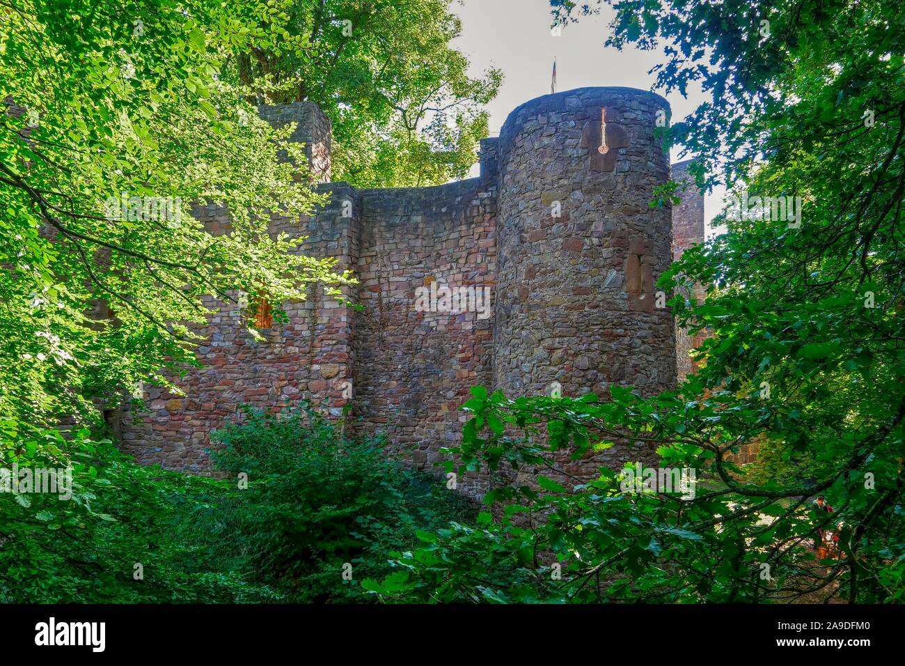 Montclair castle, germany hi-res stock photography and images - Alamy
