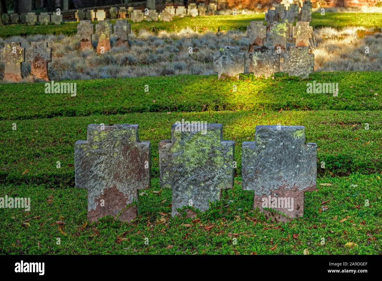 Woodland valley burial ground hi-res stock photography and images - Alamy