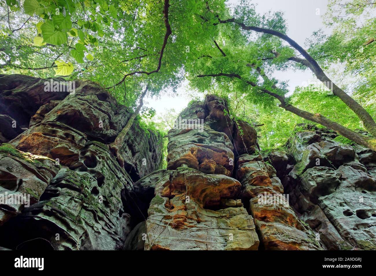 Rocks in the Devil's Gorge at Ernzen, Ferschweiler Plateau, South Eifel ...