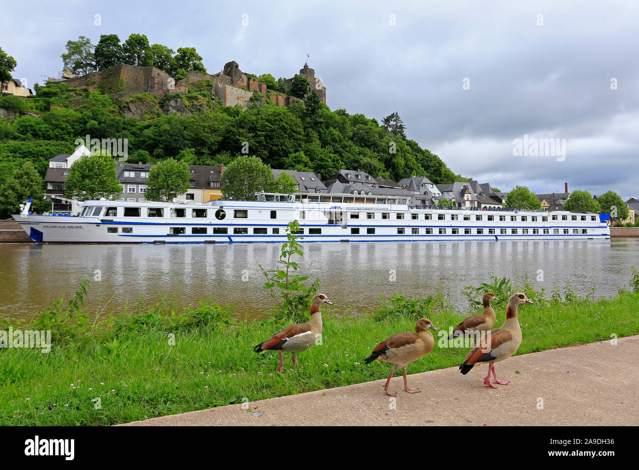Pier and castle ruin, Saarburg at the Saar, Rhineland-Palatinate, Germany Stock Photo - Alamy