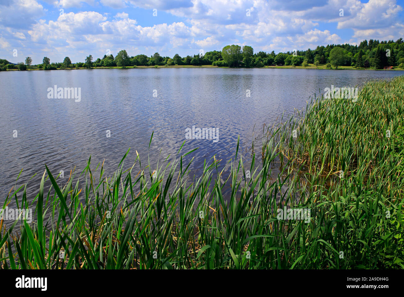 Losheimer See, Losheim, Saarland, Germany Stock Photo - Alamy