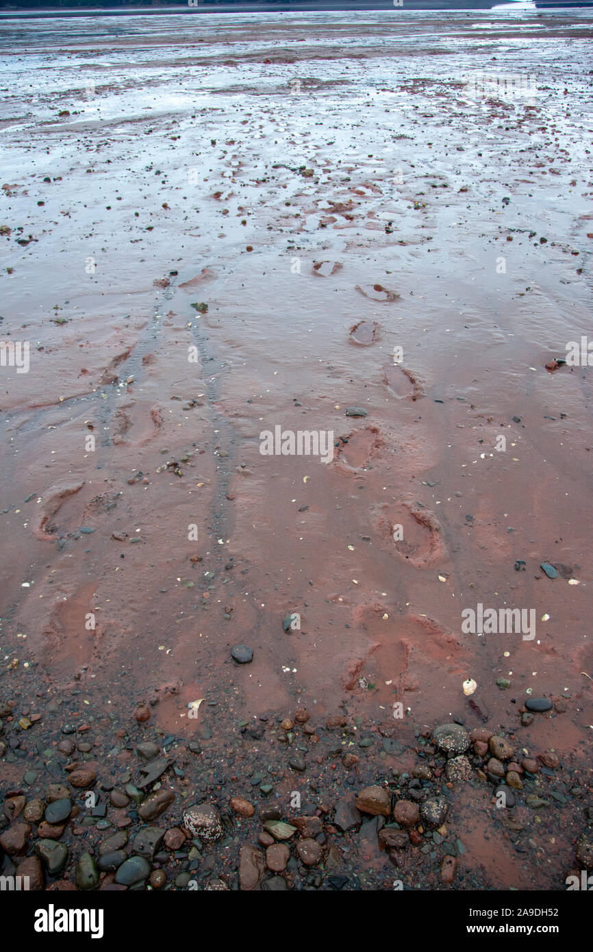 Boot prints hi-res stock photography and images - Alamy