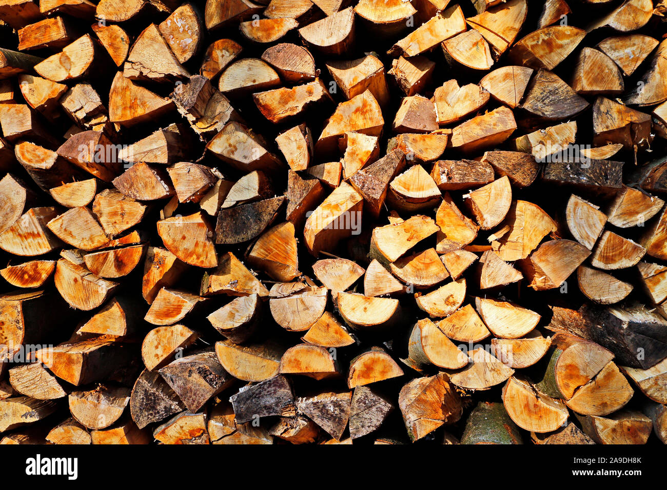 Halved Log High Resolution Stock Photography and Images - Alamy