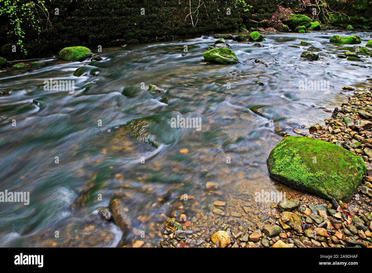 Mountain brook in Müllerthal near Befort, Luxembourg Switzerland ...