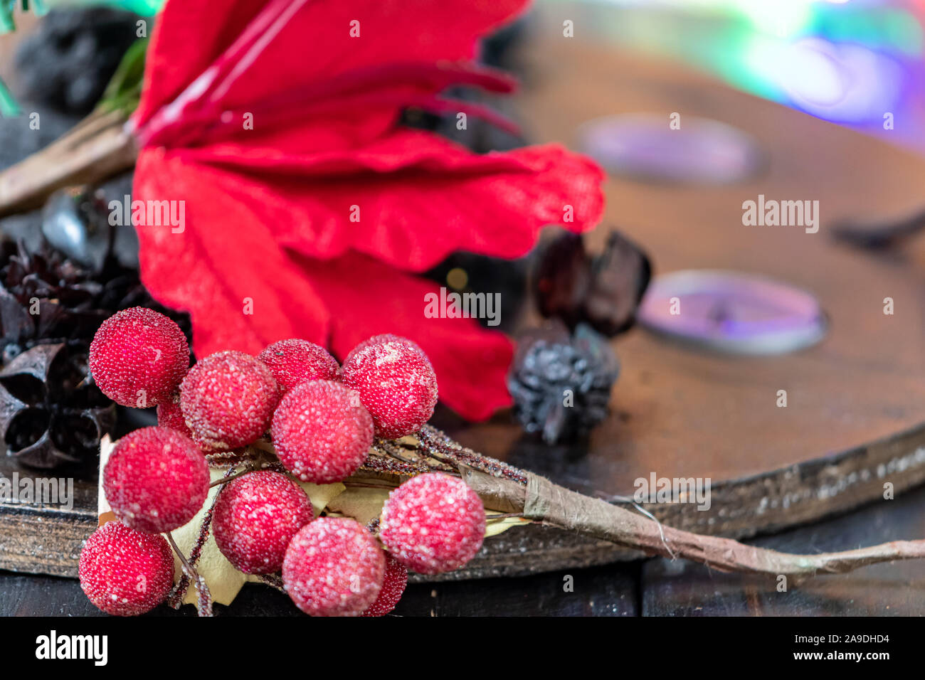 Family reunion joy hi-res stock photography and images - Alamy