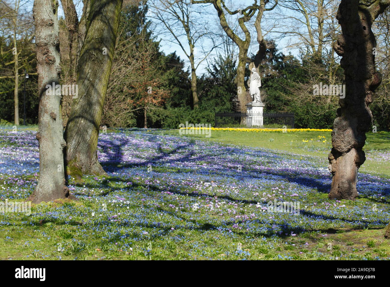 Heinrich wilhelm olbers hi-res stock photography and images - Alamy