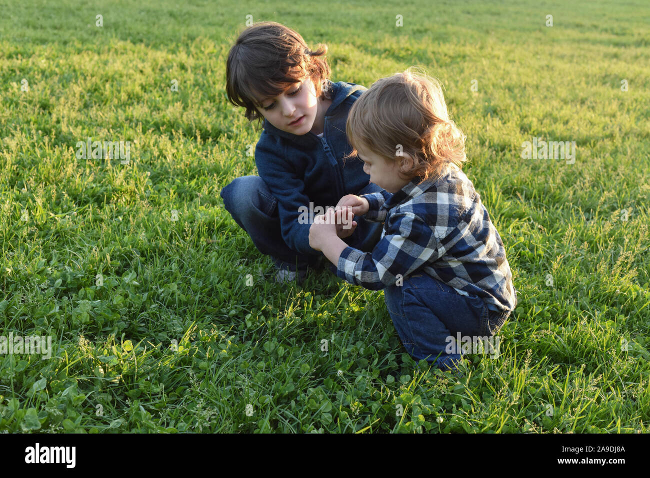 Children playing in the grass Stock Photo - Alamy