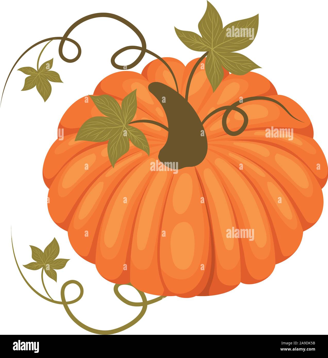 Isolated autumn pumpkin vector design Stock Vector Image & Art - Alamy