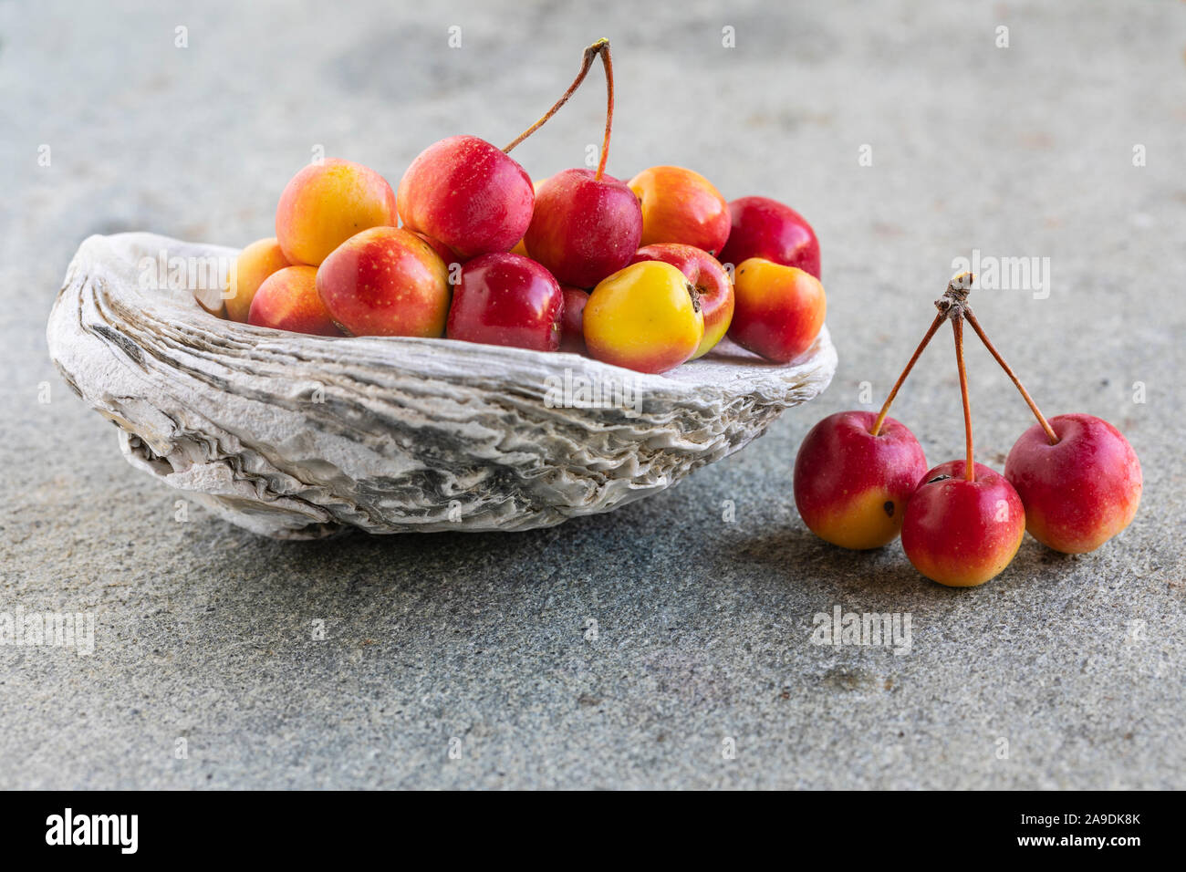 Ornamental apples in a shell Stock Photo - Alamy
