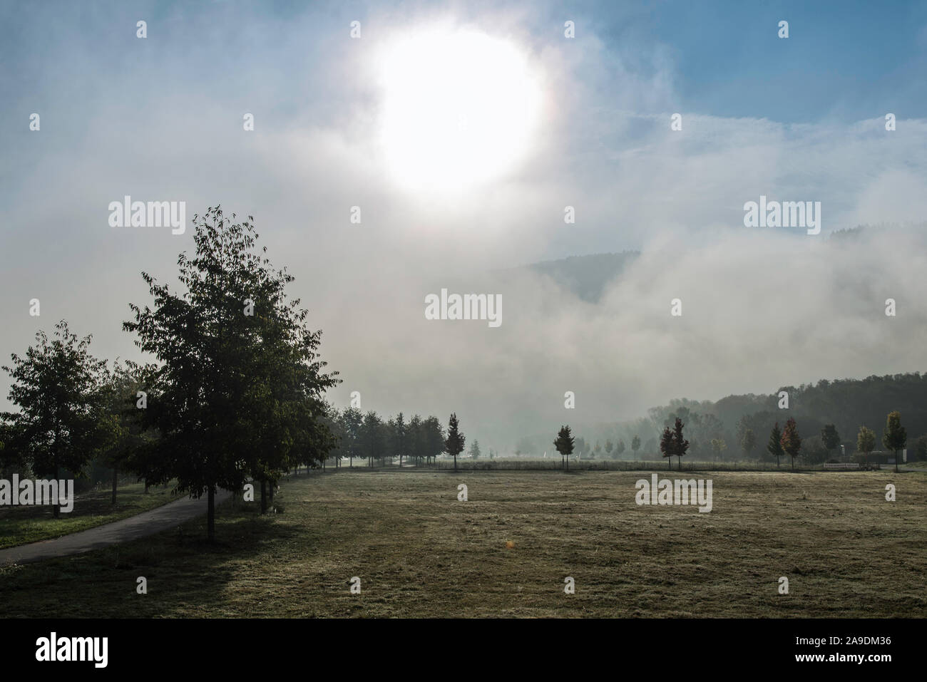 Dissolving morning mist at Riol 'Triolago', Germany Stock Photo - Alamy