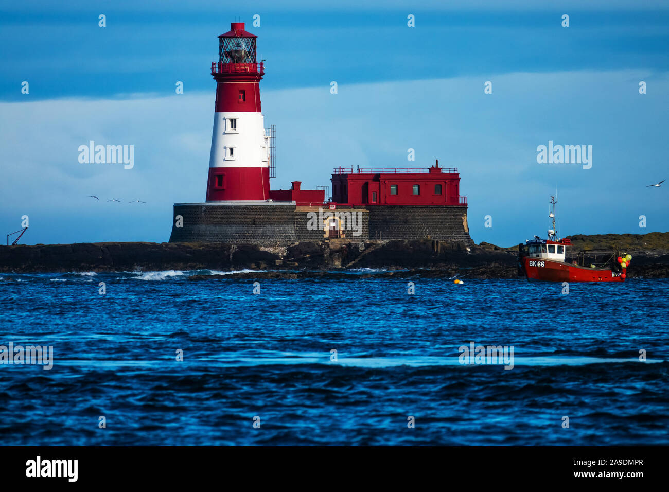 Longstone Island Lighthouse, Farne Islands, England Stock Photo - Alamy