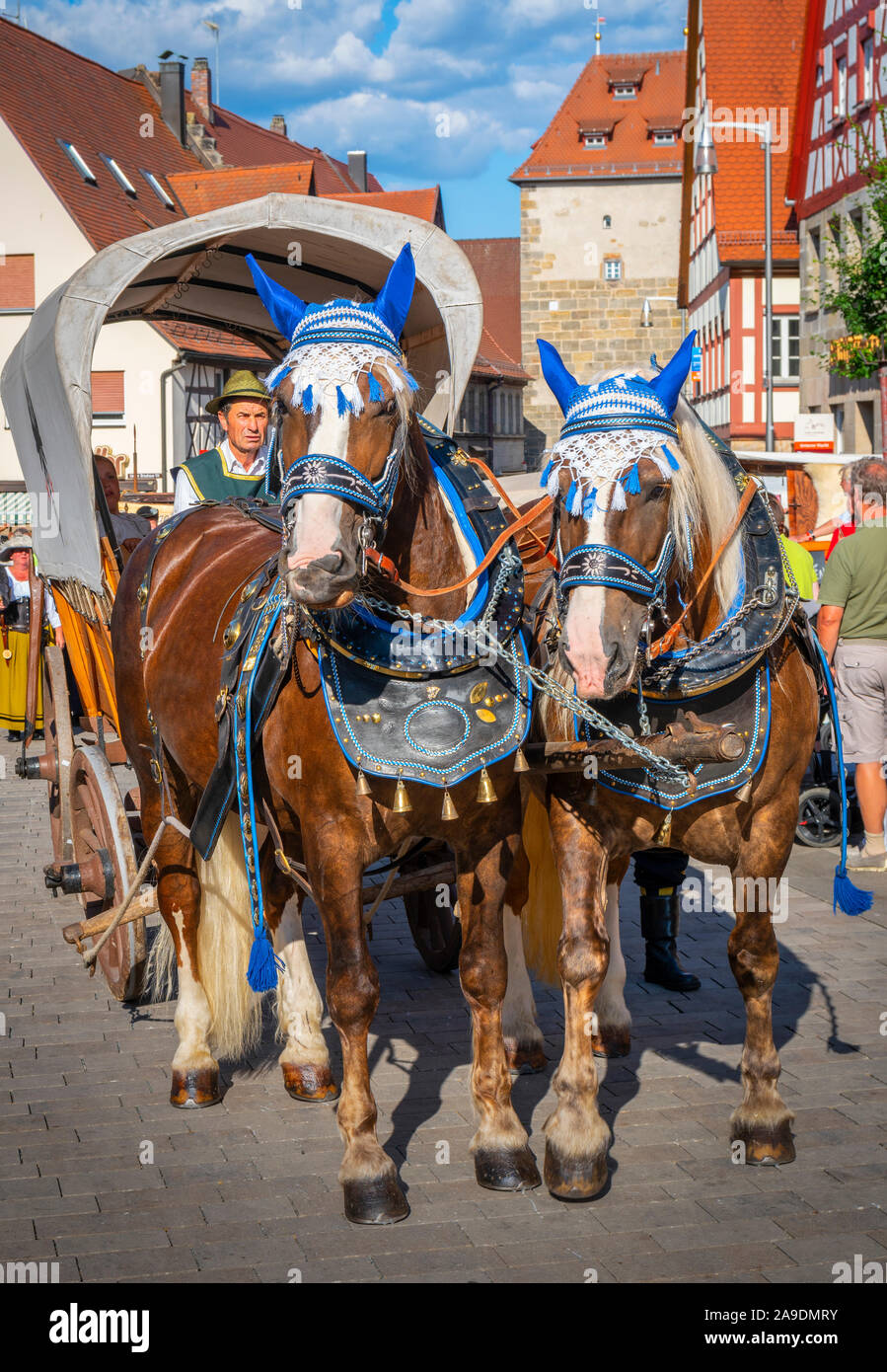 Wallenstein festival hi-res stock photography and images - Alamy