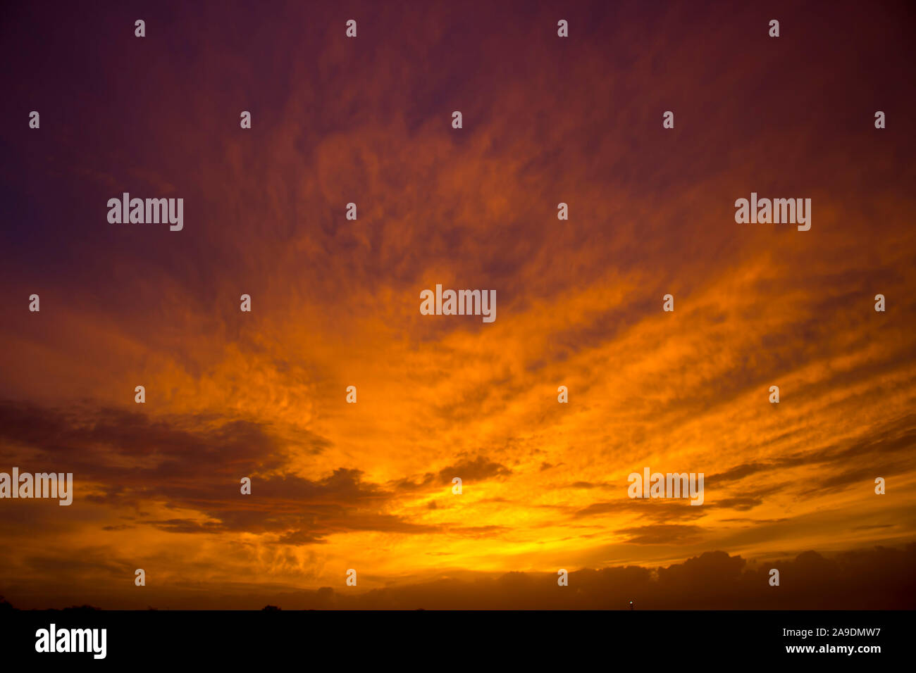 Salmon tones hi-res stock photography and images - Alamy