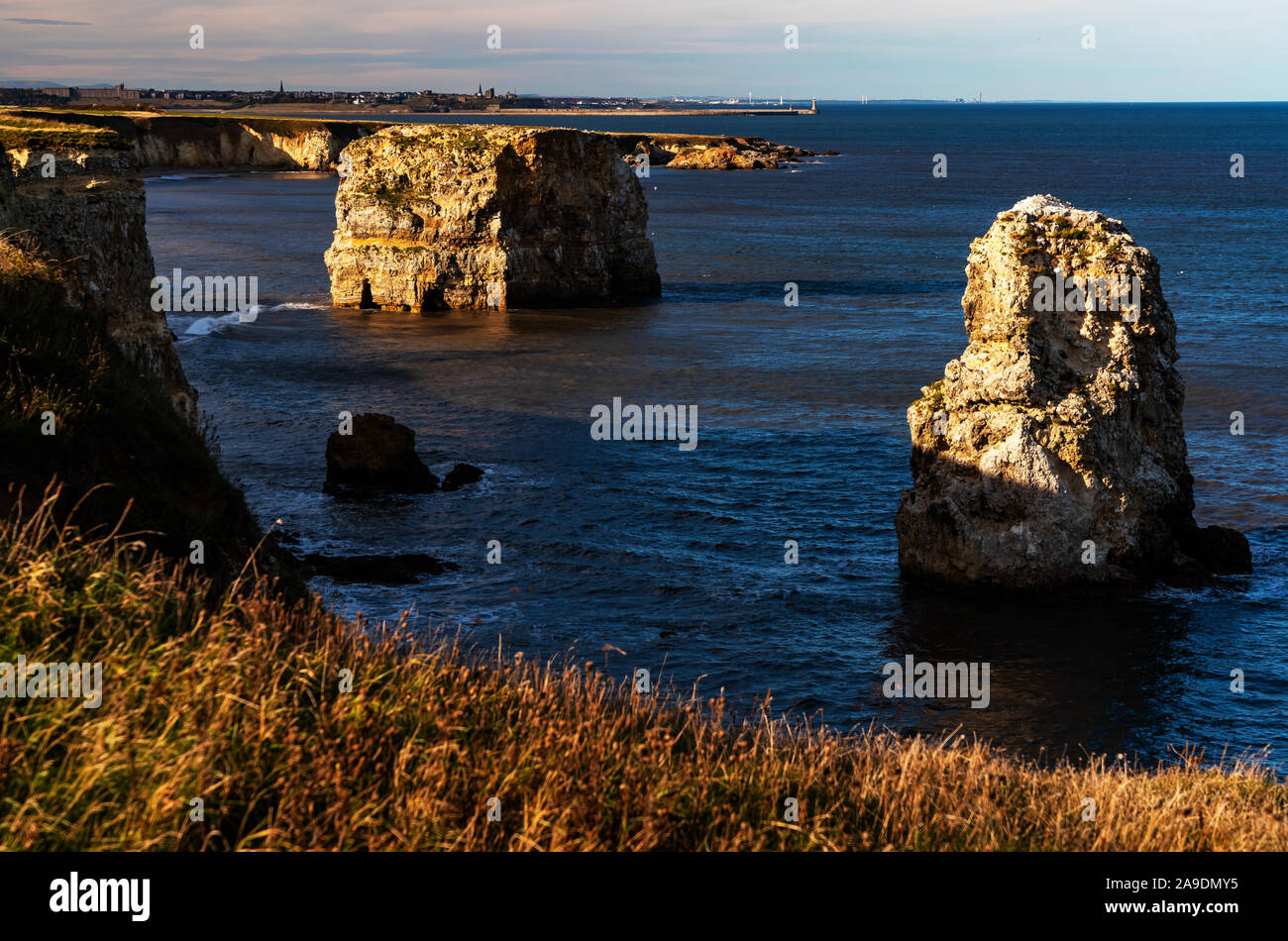 Coastal impression at Souter Point, England Stock Photo - Alamy