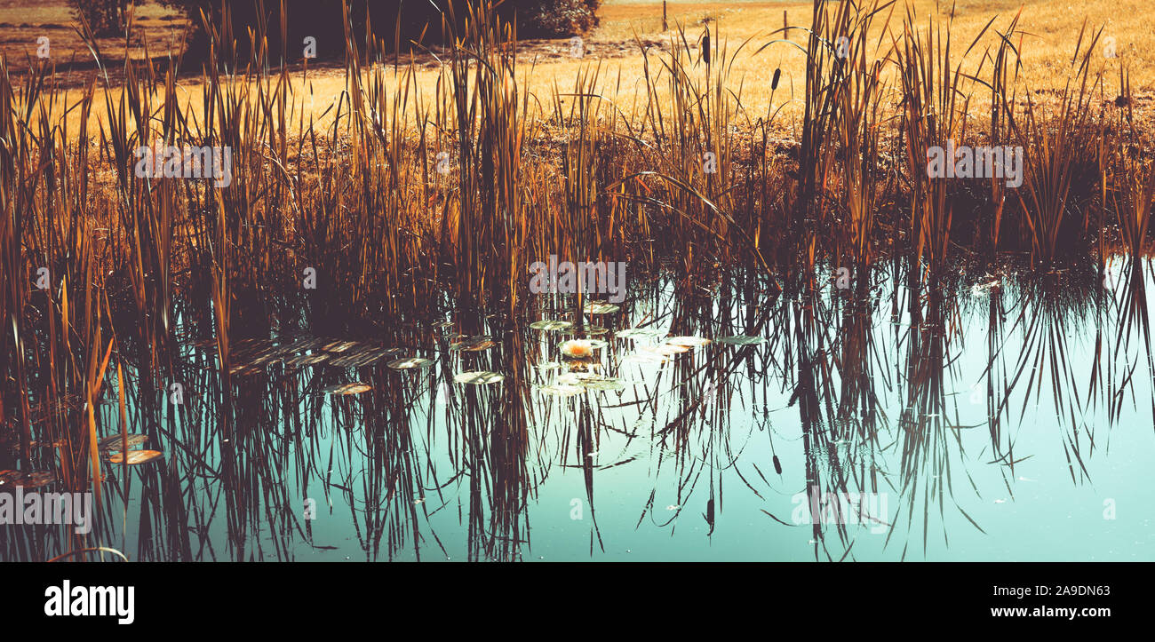 Somber reflection on life hi-res stock photography and images - Alamy