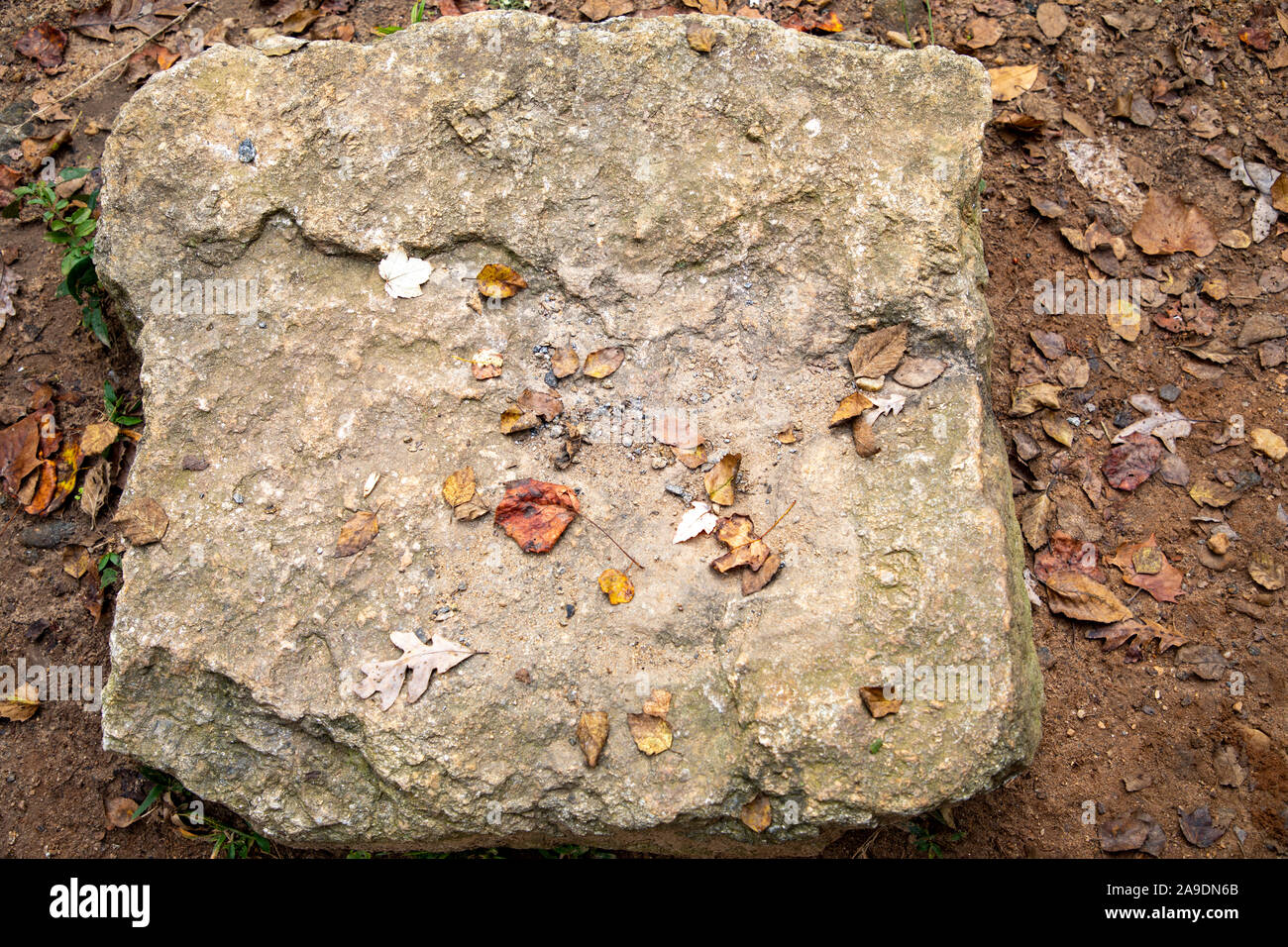 large, square, flat rock with leaves and dirt Stock Photo - Alamy