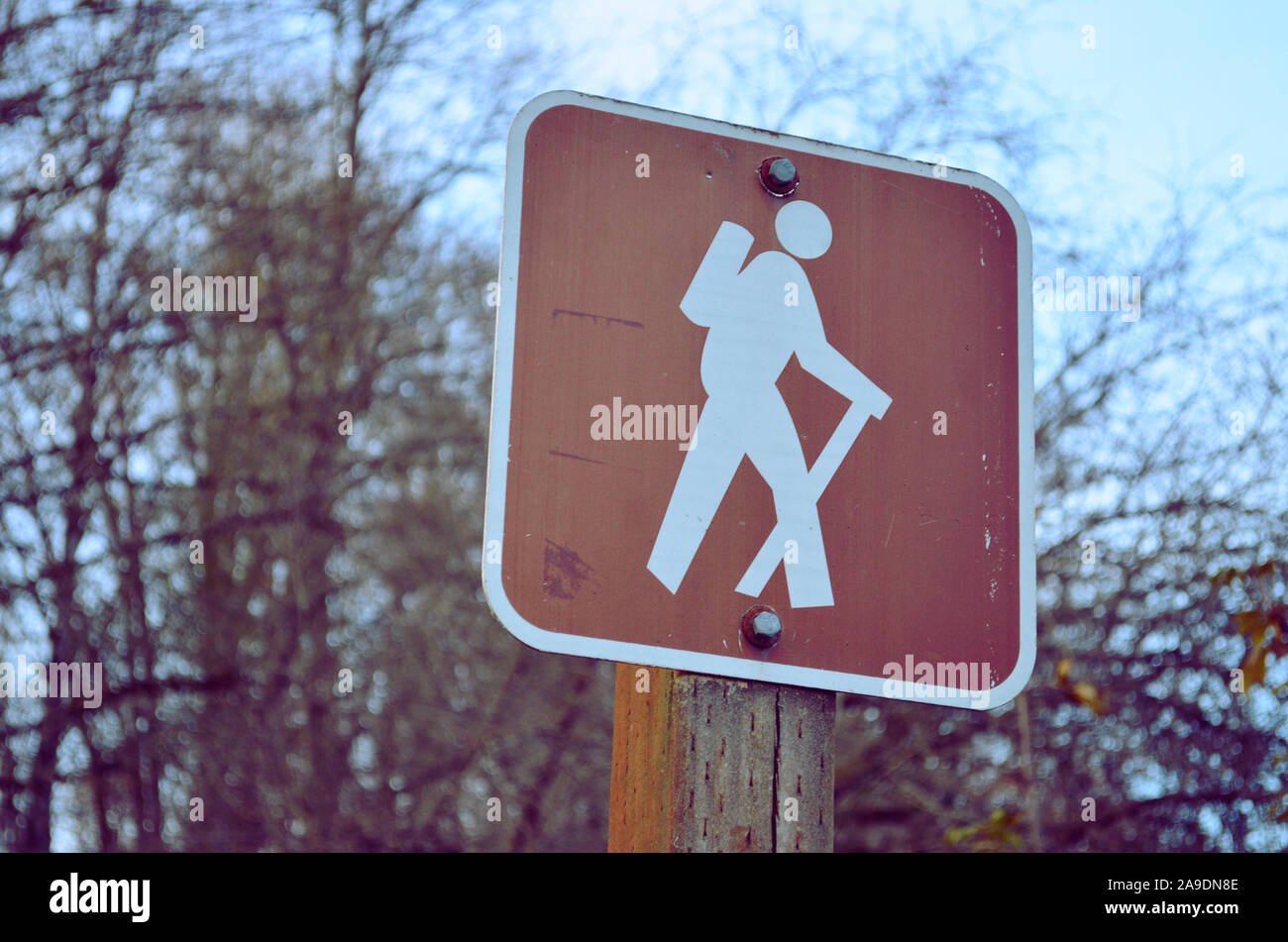 Color corrected hiking sign in the forest near a trail Stock Photo - Alamy