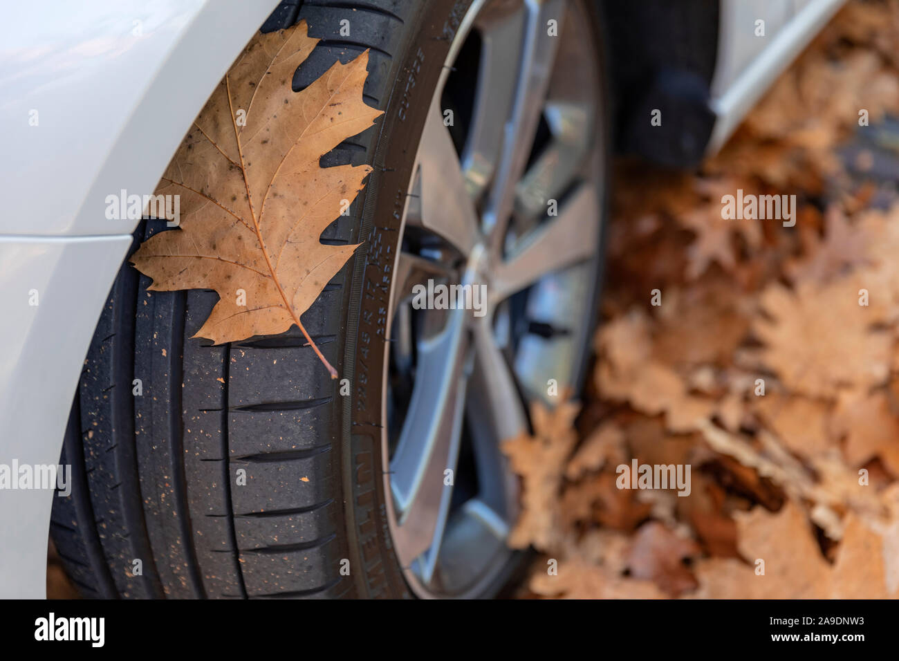 Summer tires detail autumn hi-res stock photography and images - Alamy
