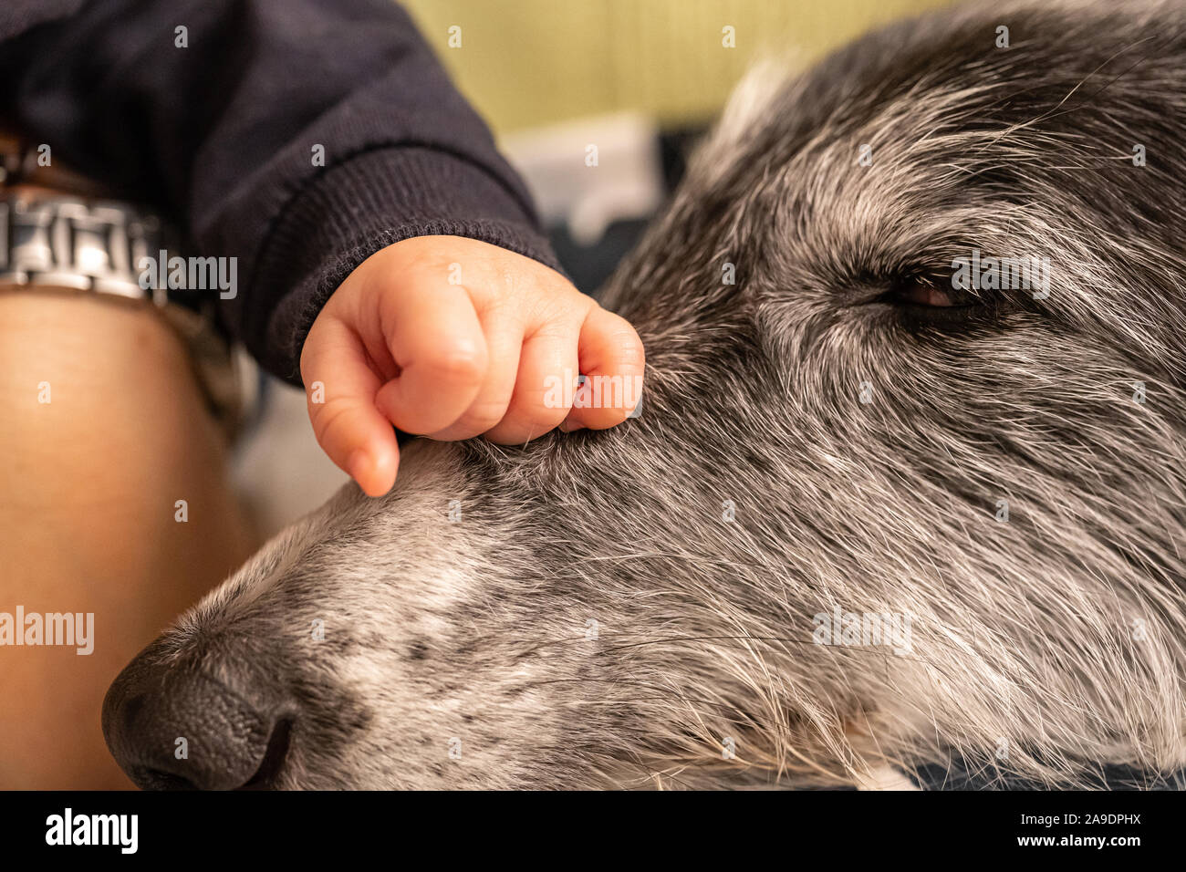 Hand caressing baby girl face hi-res stock photography and images - Alamy