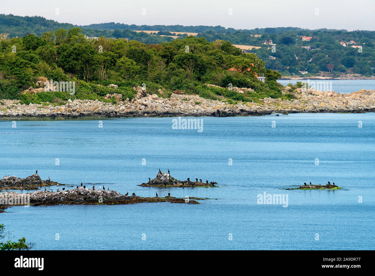Bornholm, coastal landscape near Tejn, rocks, cormorants Stock Photo ...