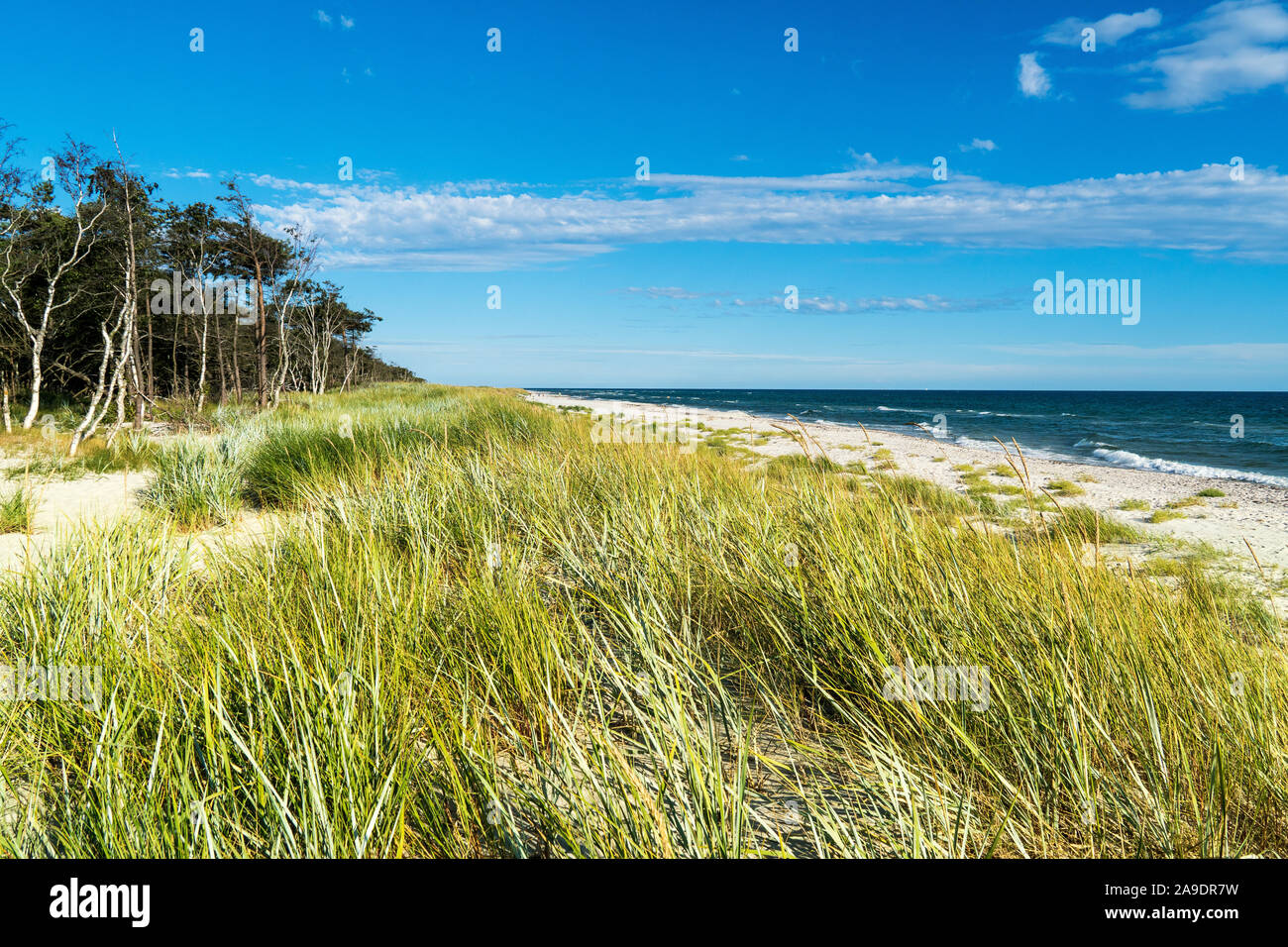 Bornholm, south coast, beach at Dueodde Stock Photo - Alamy