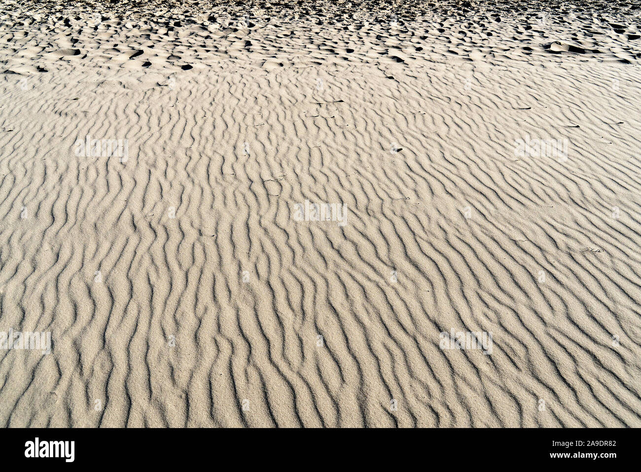 Bornholm, south coast, beach at Dueodde, sand structure Stock Photo - Alamy