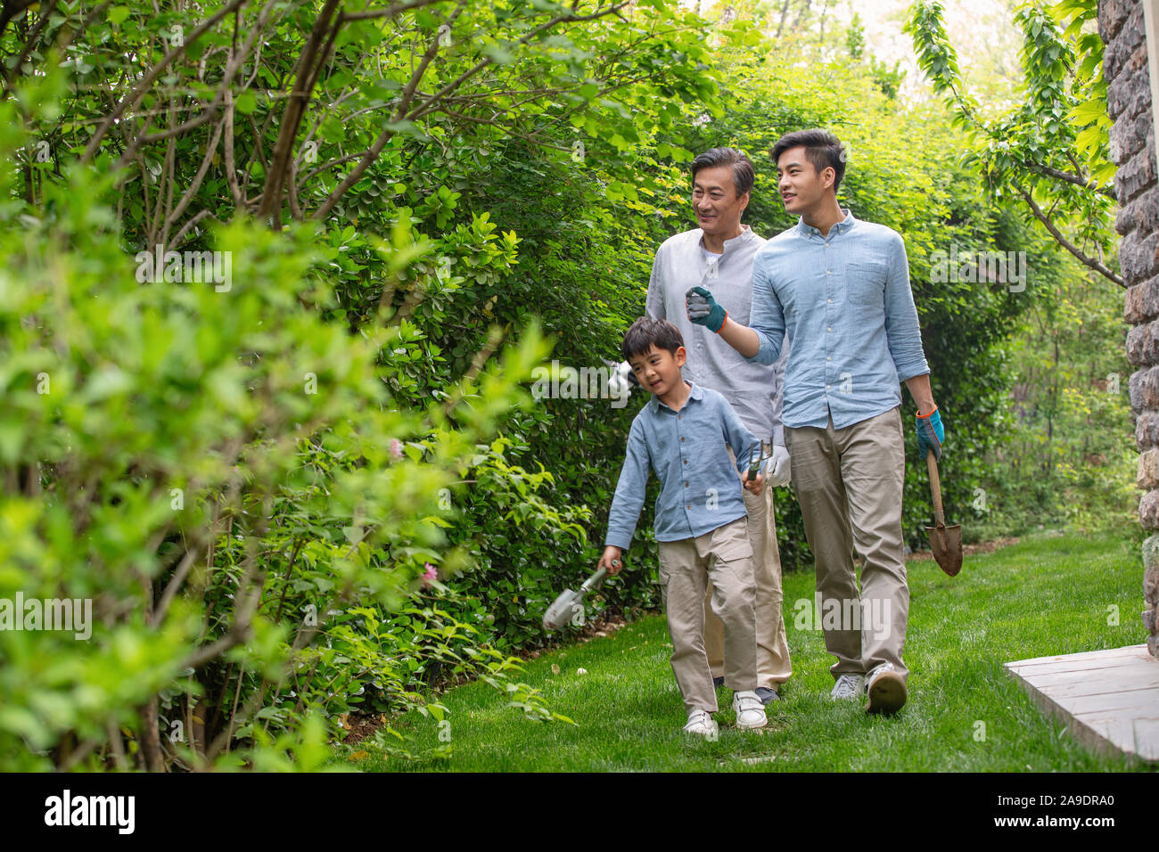 Three generations of flowers in the yard Stock Photo - Alamy