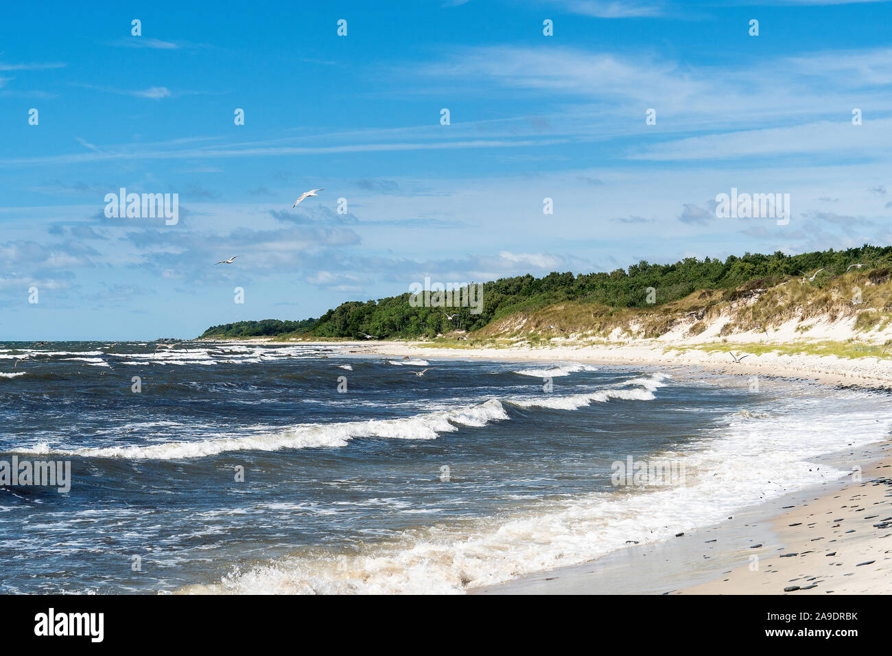 Beach of dueodde hi-res stock photography and images - Alamy