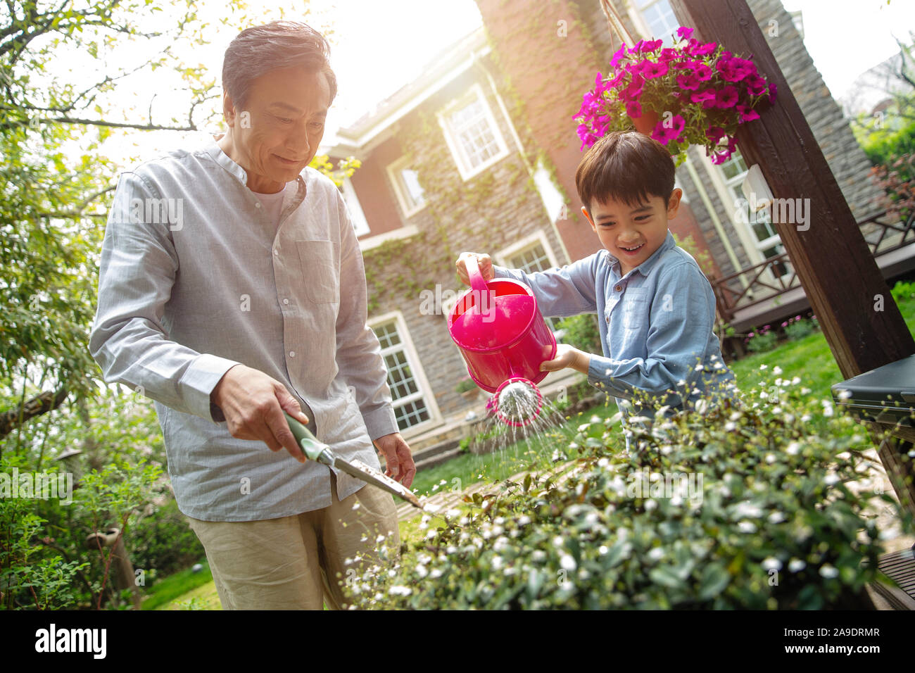 Grandfather planting flowers grandson hi-res stock photography and ...