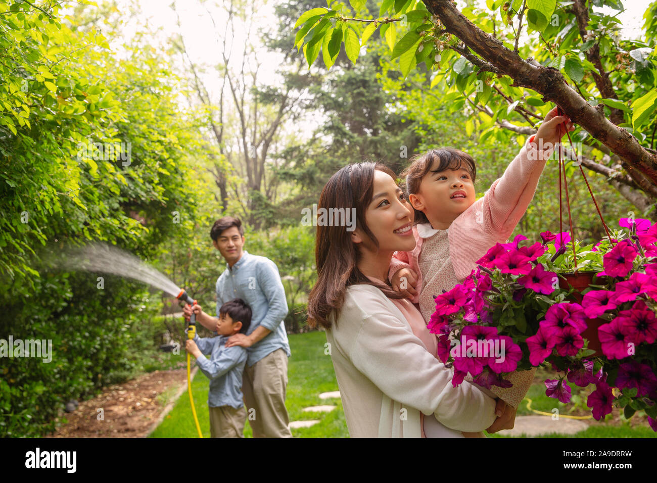 Happy family playing in the courtyard Stock Photo - Alamy