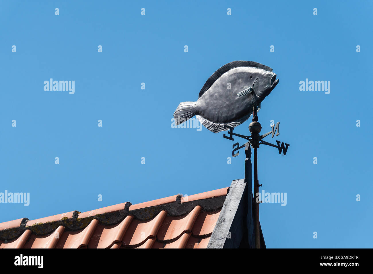 Bornholm, Gudhjem, roof ridge, weathervane, fish Stock Photo - Alamy