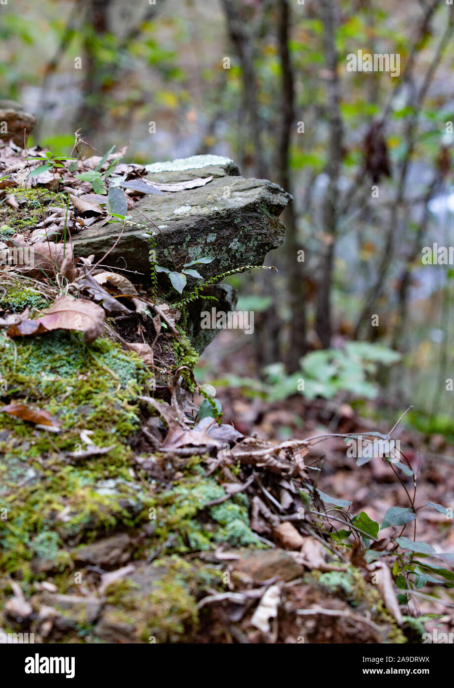 Jutting hi-res stock photography and images - Alamy