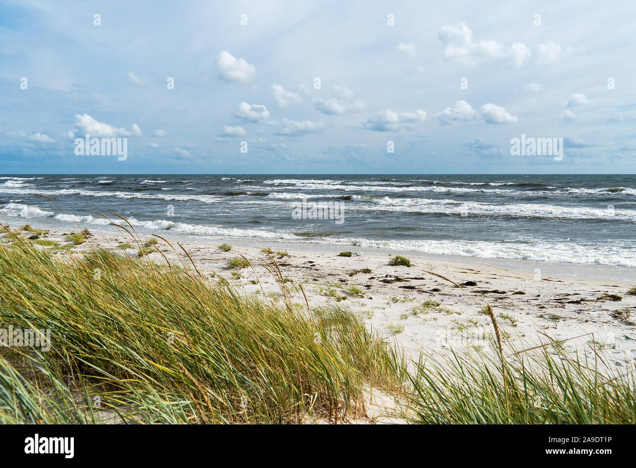 Bornholm, Dueodde, coastal landscape, sea view Stock Photo - Alamy