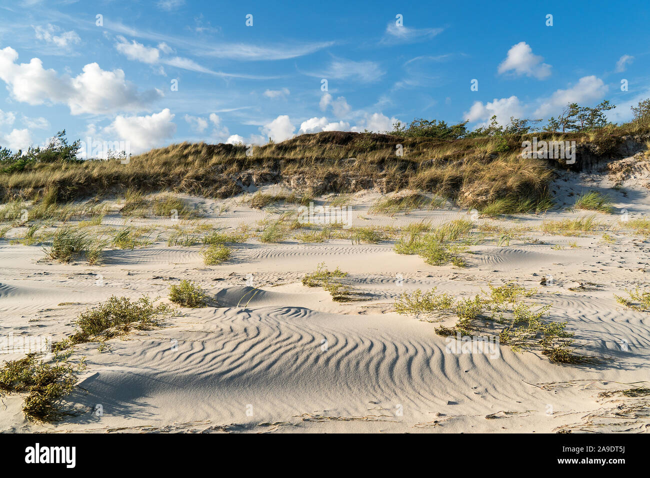 Bornholm, Dueodde, coastal landscape, sand structure Stock Photo - Alamy