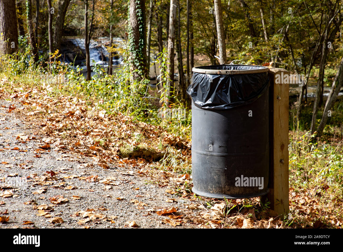 Leave in bin hi-res stock photography and images - Alamy