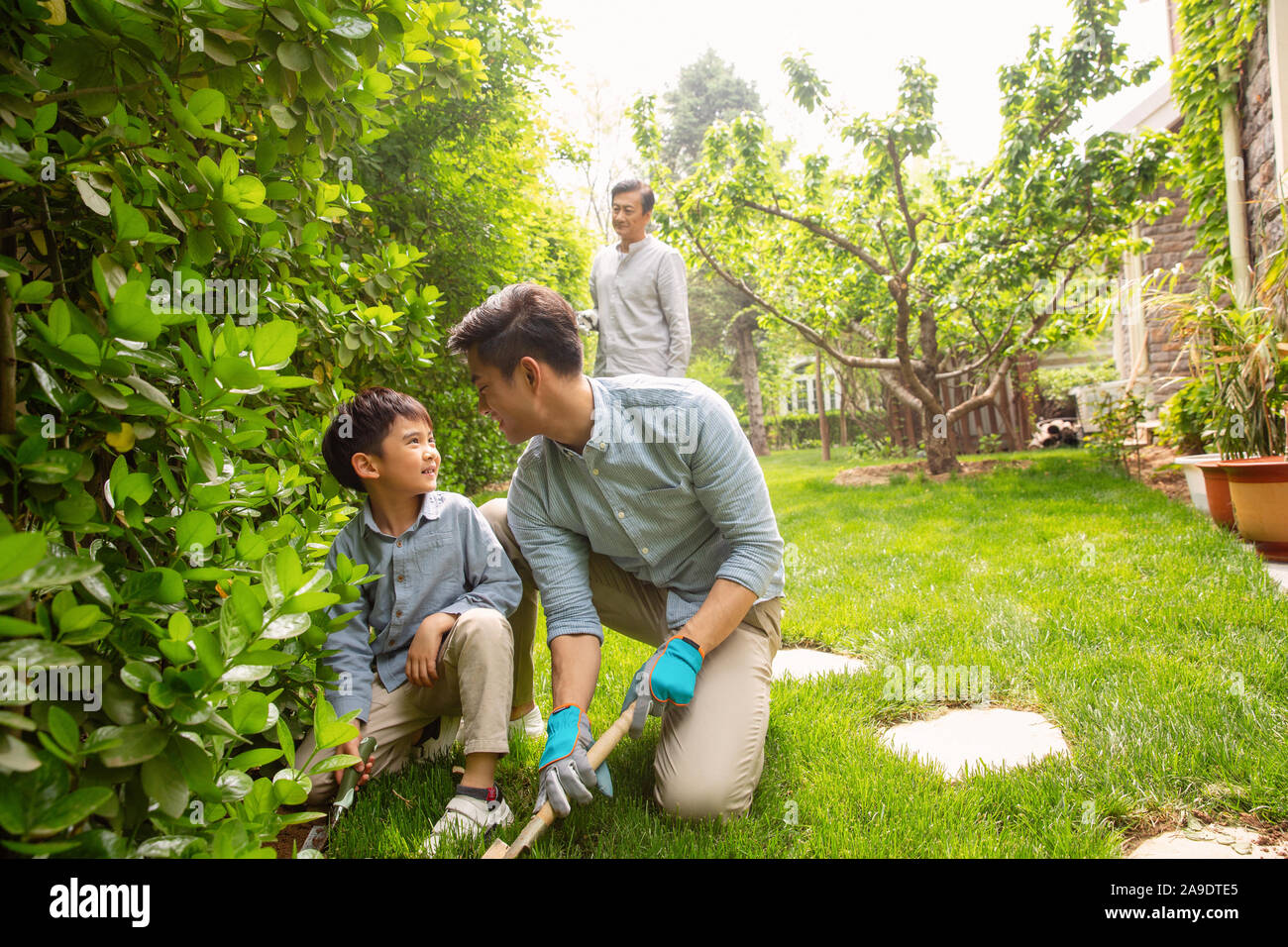 Three generations of flowers in the yard Stock Photo - Alamy