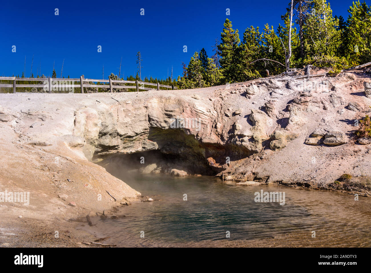 USA, Wyoming, Yellowstone National Park, Norris Geyser Basin, Back ...