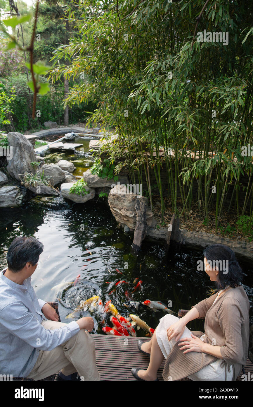 Two women feeding fish hi-res stock photography and images - Alamy