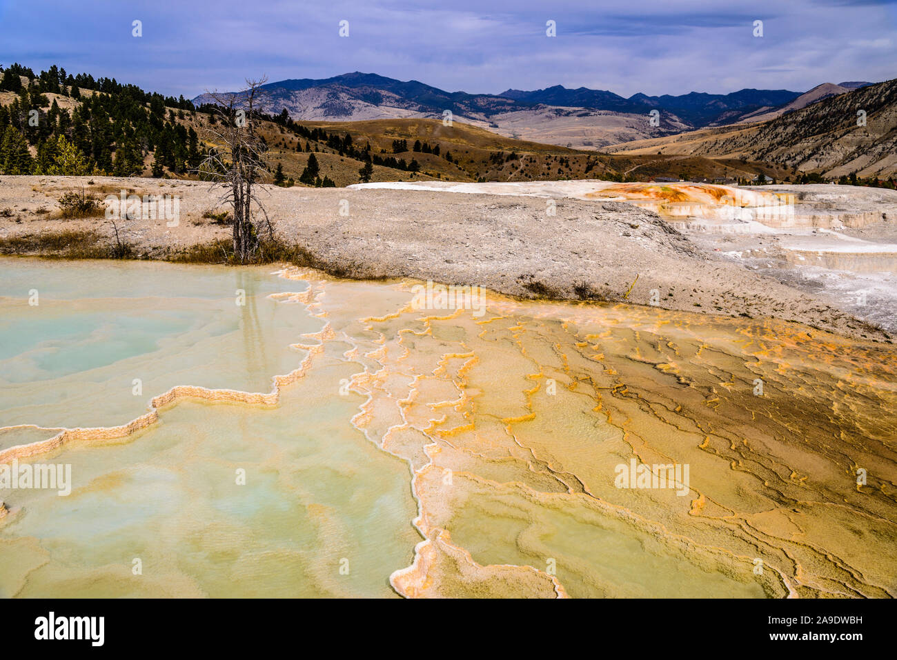 Jupiter terrace yellowstone national park hi-res stock photography and ...