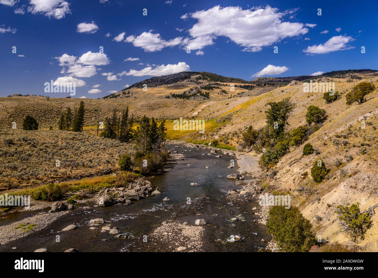 Lamar river area hi-res stock photography and images - Alamy