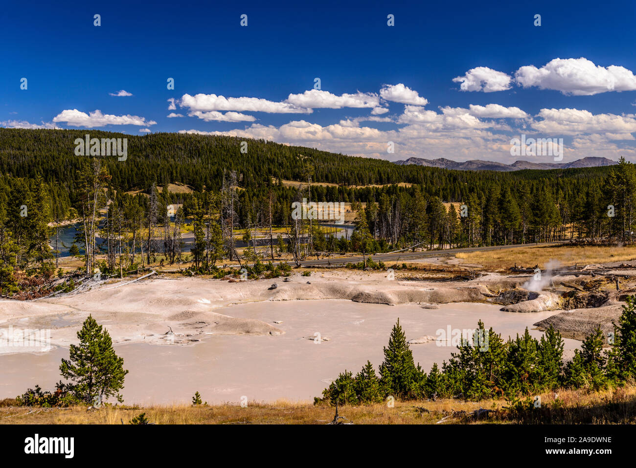 USA, Wyoming, Yellowstone National Park, Fishing Bridge, Hayden Valley ...