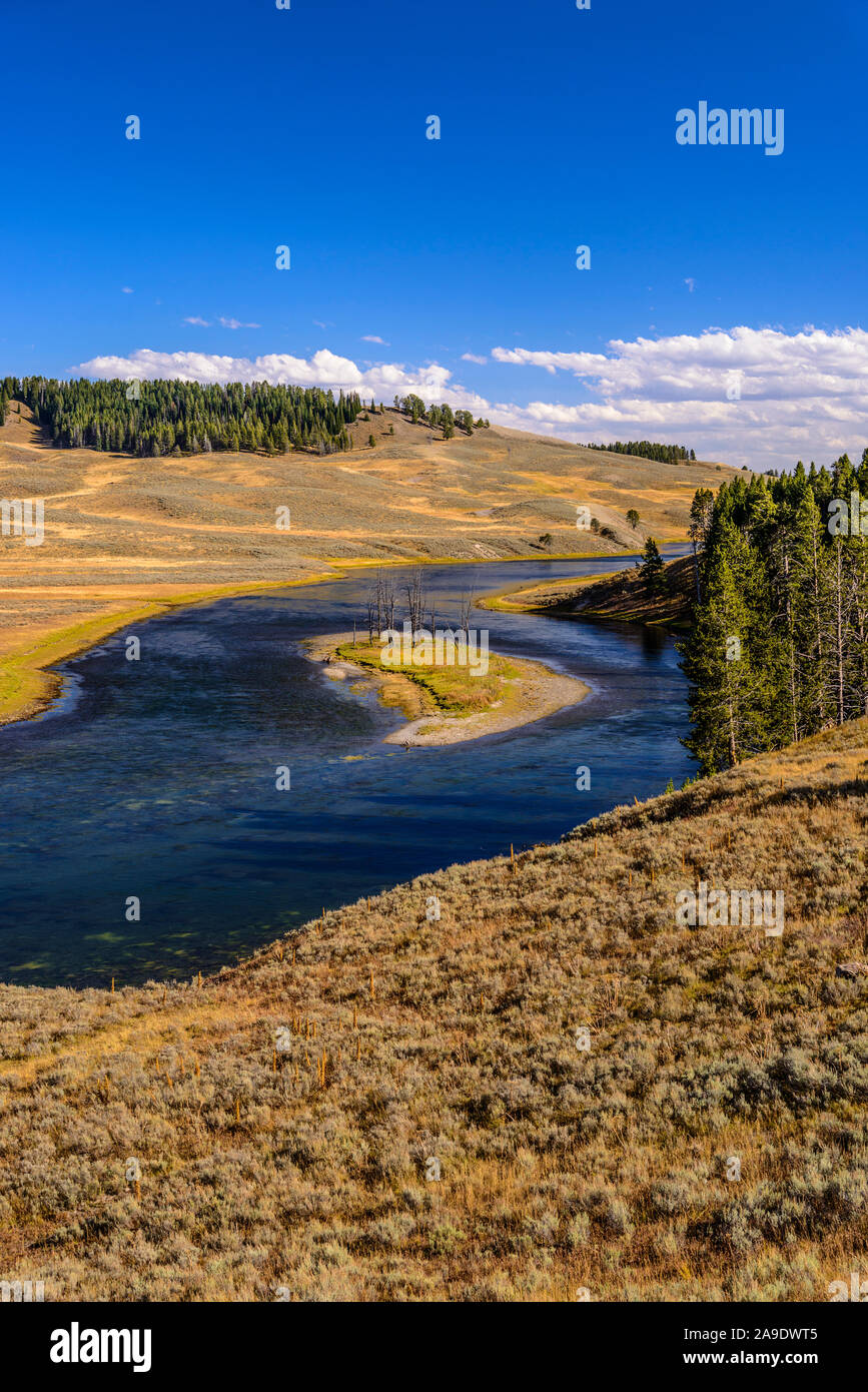 USA, Wyoming, Yellowstone National Park, Canyon Village, Hayden Valley ...