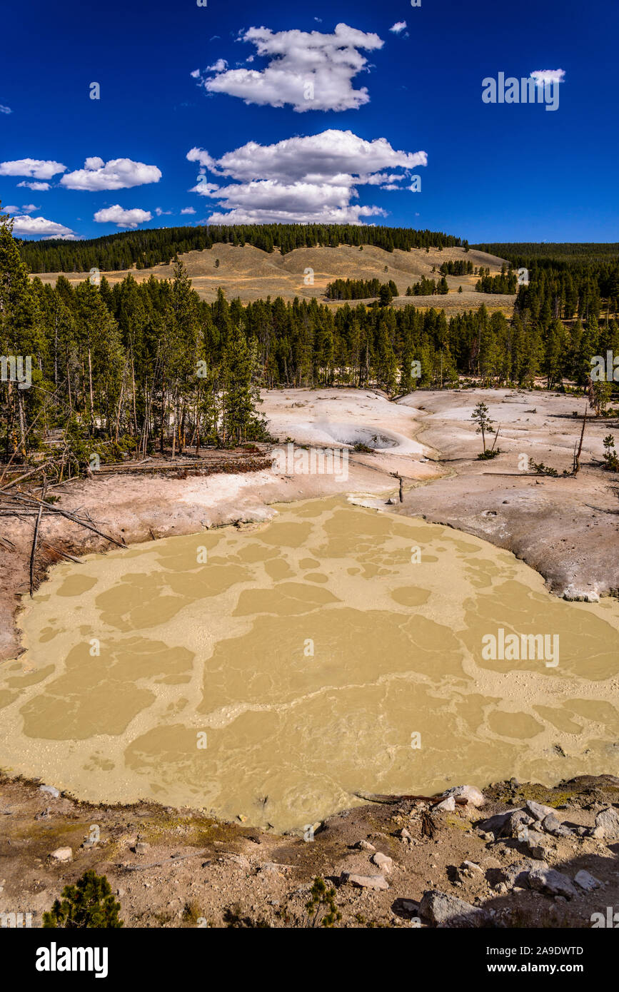 USA, Wyoming, Yellowstone National Park, Fishing Bridge, Hayden Valley ...