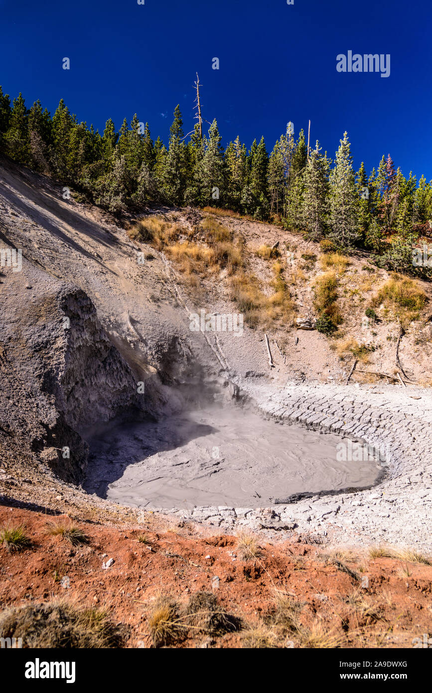 USA, Wyoming, Yellowstone National Park, Fishing Bridge, Hayden Valley ...