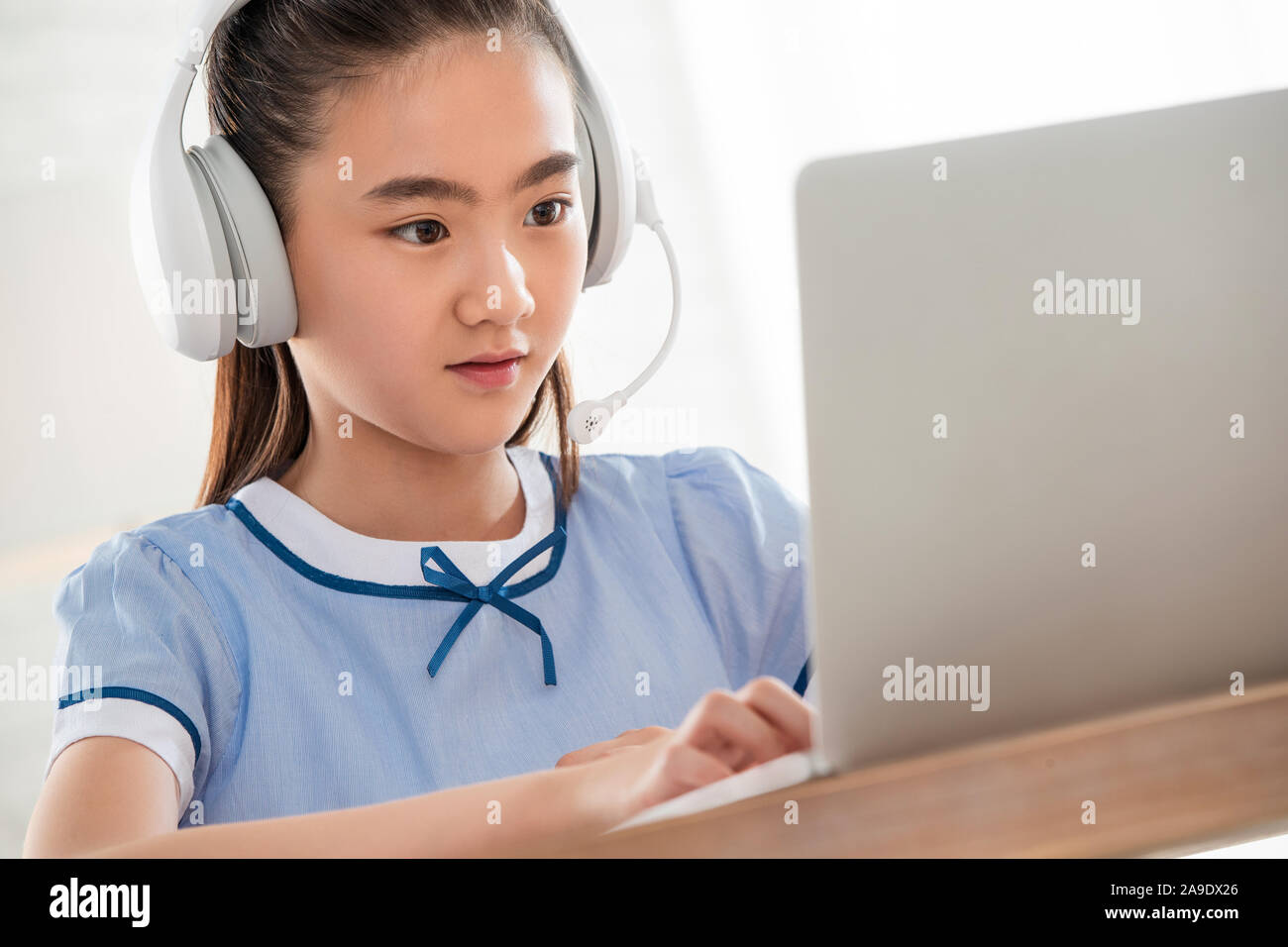 Students look at the computer online learning Stock Photo - Alamy