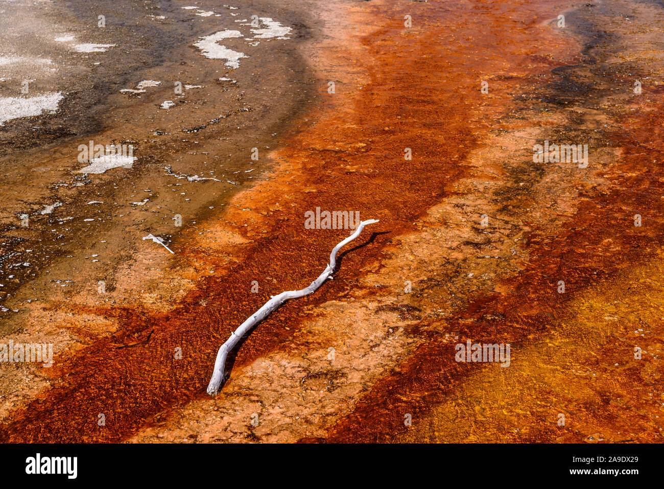 Integral nature rese hi-res stock photography and images - Alamy