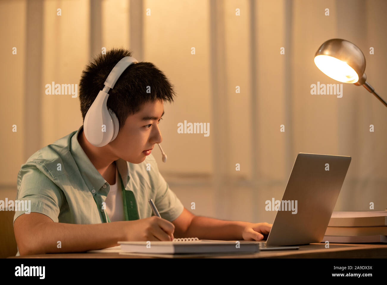 Students look at the computer online learning Stock Photo - Alamy